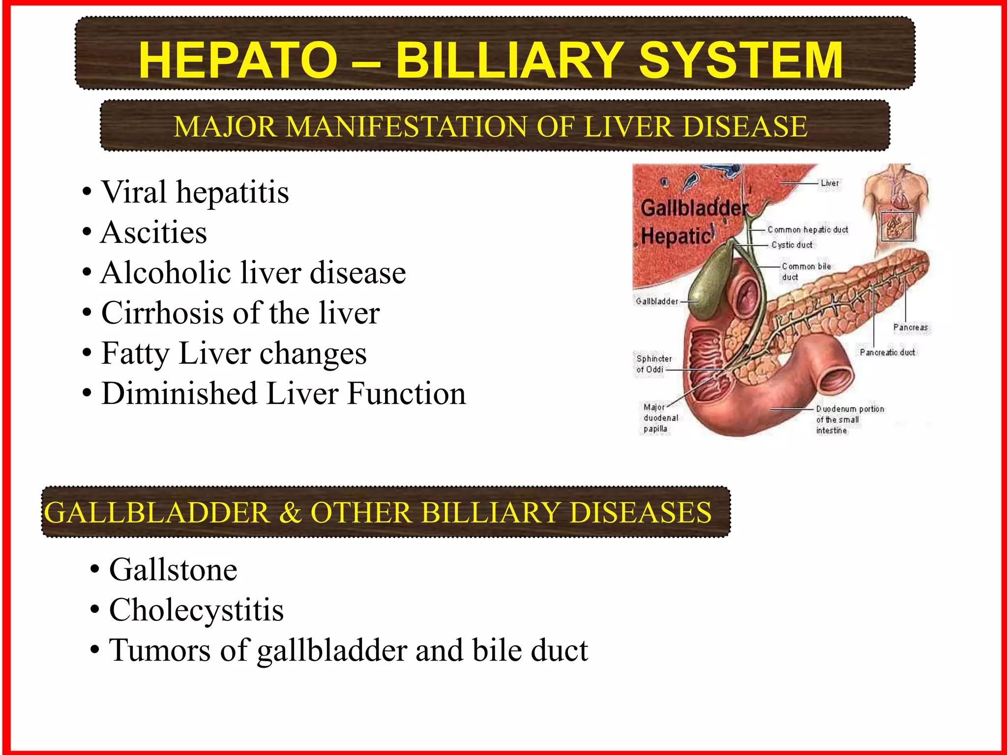 Shodhana Chikitsa in Liver Disease & Diseases of the Hepatobiliary ...