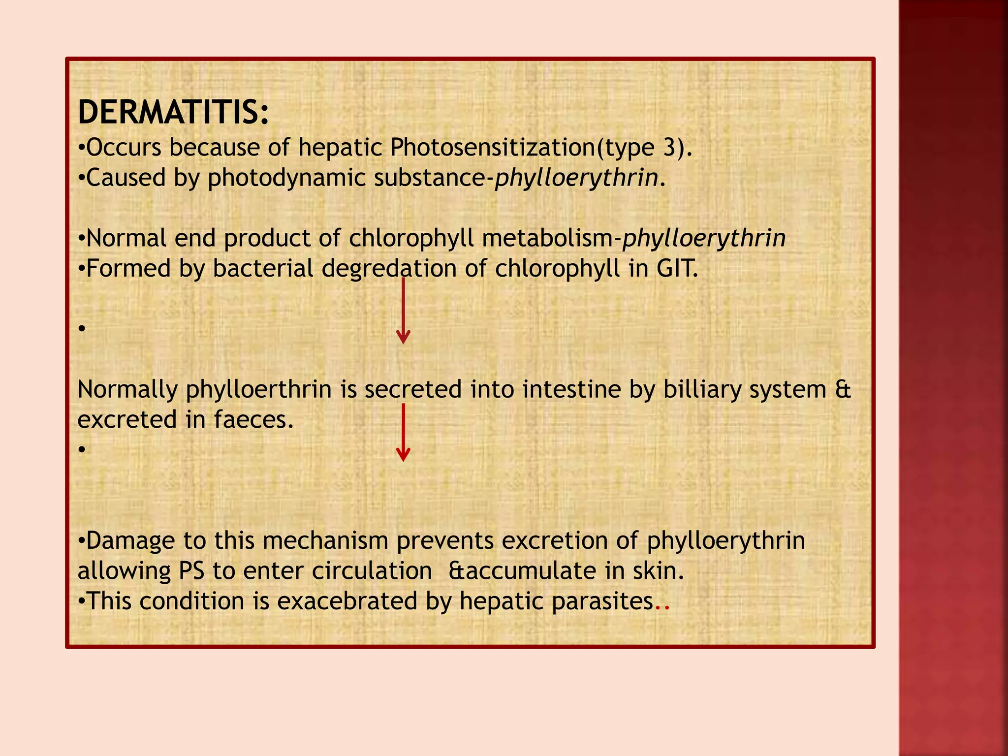 Liver diseases in cattle | PPTX