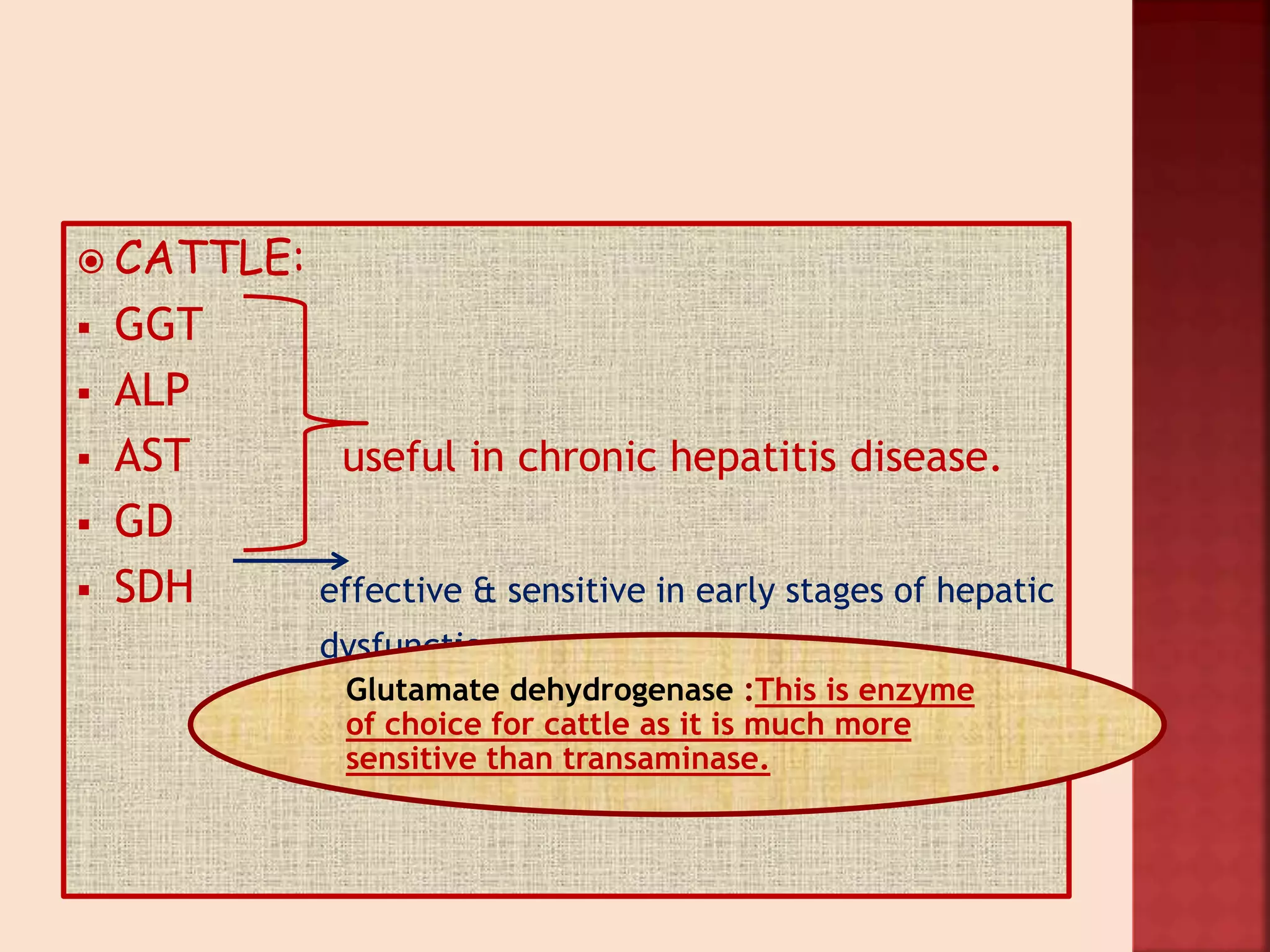 Liver diseases in cattle | PPTX