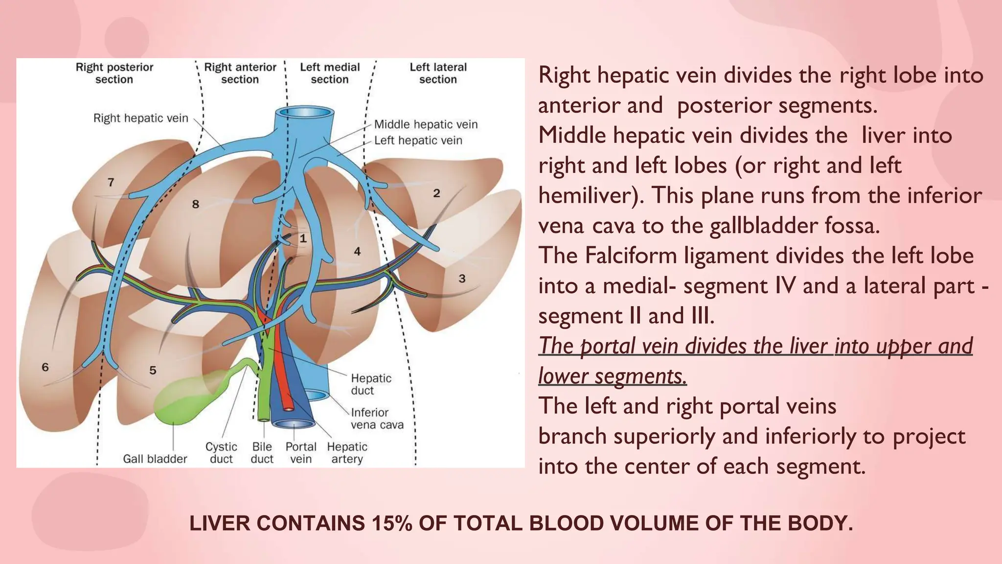 Liver Diseases_ Primary Biliary Cholangitis by Slidesgo.pptx