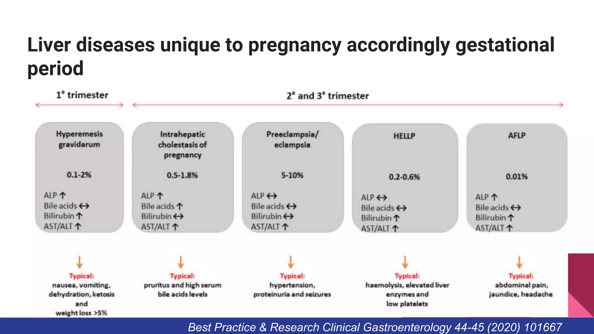 Liver disorder at pregnancy | PPTX