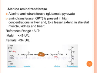 liver enzymes markers.pptx
