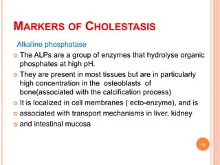 liver enzymes markers.pptx