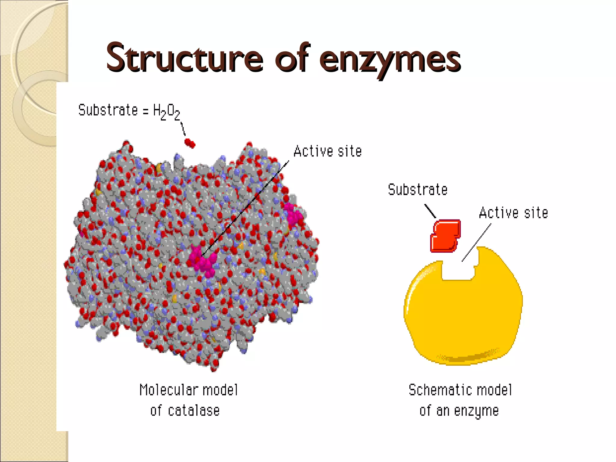 Enzymes in liver disorders presentation with cases | PPT