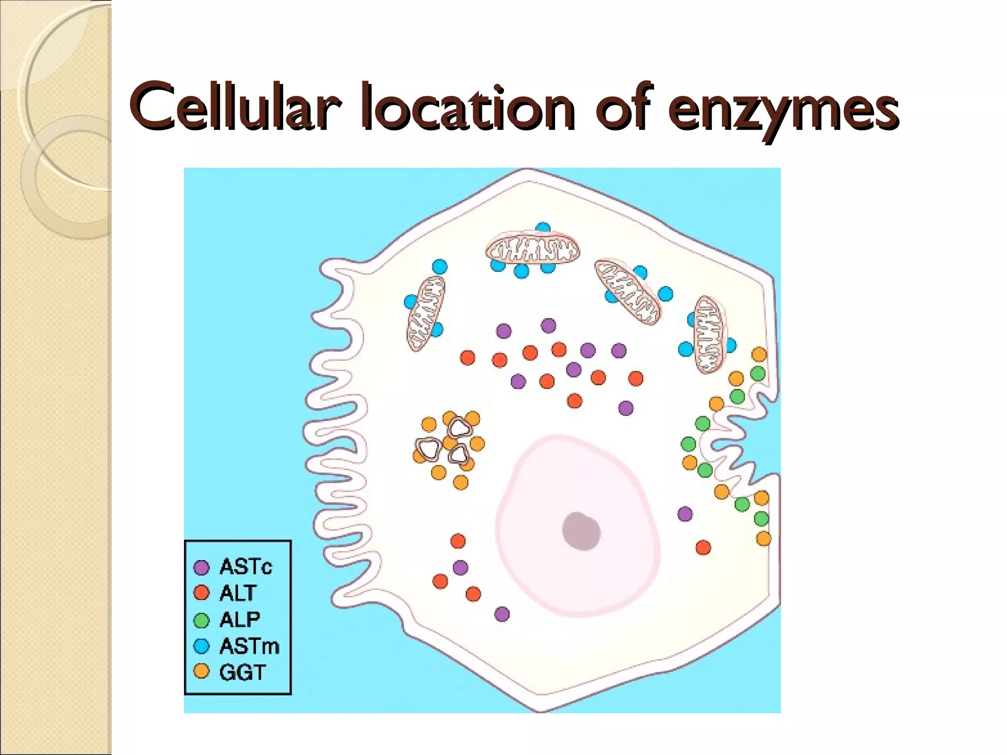 Enzymes in liver disorders presentation with cases | PPT