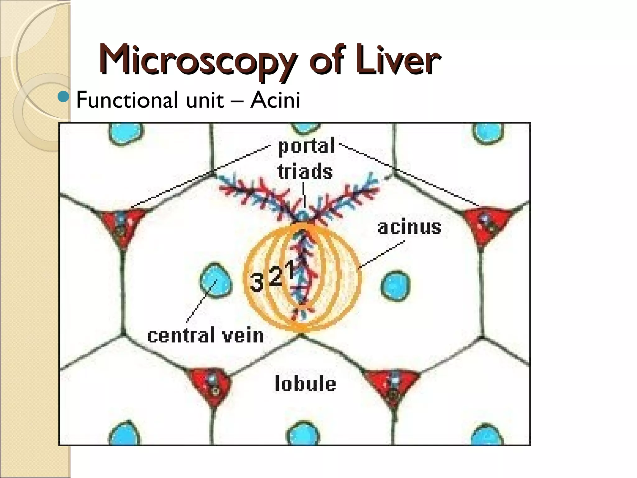 Enzymes in liver disorders presentation with cases | PPT
