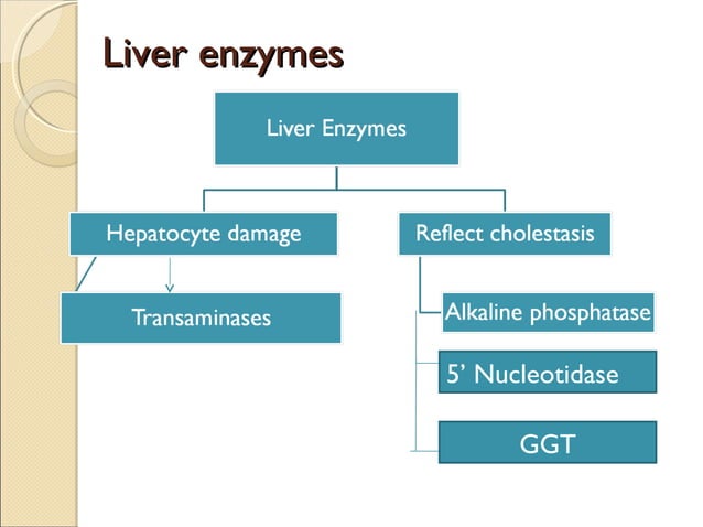Enzymes in liver disorders presentation with cases | PPT | Endocrine ...