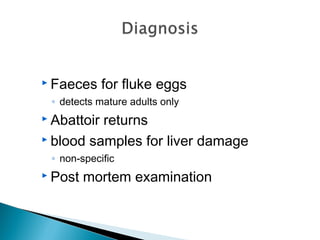 Liverfluke | PPT