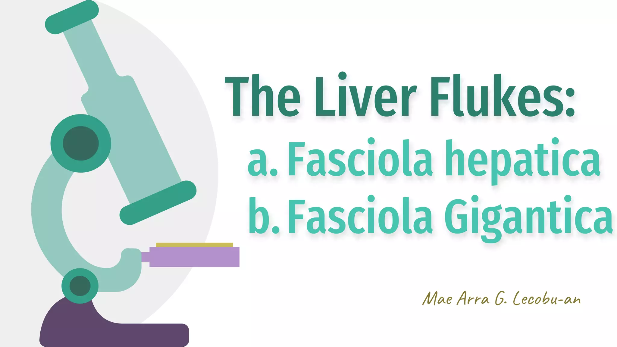 Liver flukes F. hepatica F. gigantica | PPTX