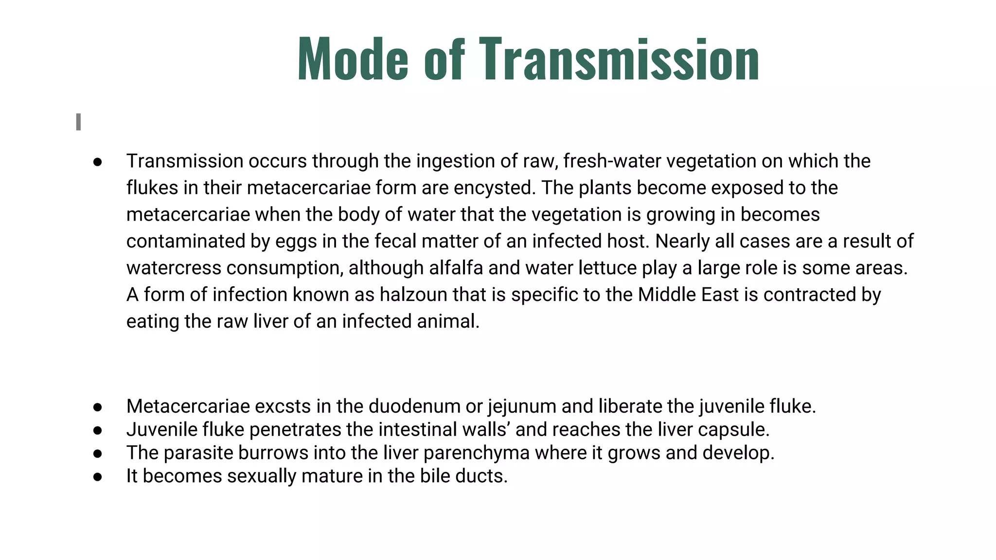 Liver flukes F. hepatica F. gigantica | PPTX