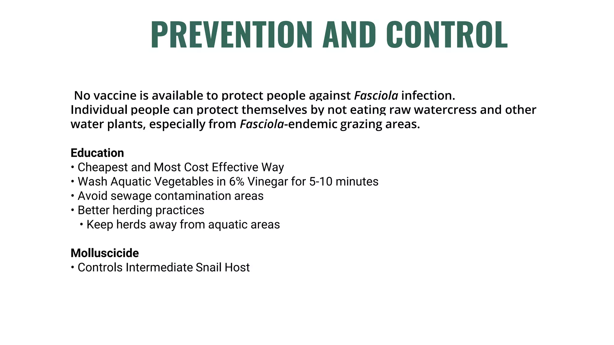 Liver flukes F. hepatica F. gigantica | PPTX