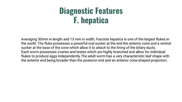 Liver flukes F. hepatica F. gigantica | PPTX | Infectious Diseases ...