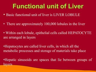 Liver funcation | PPT