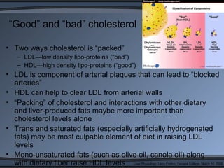 Liver function3 | PPT