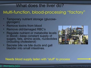 Liver function3 | PPT