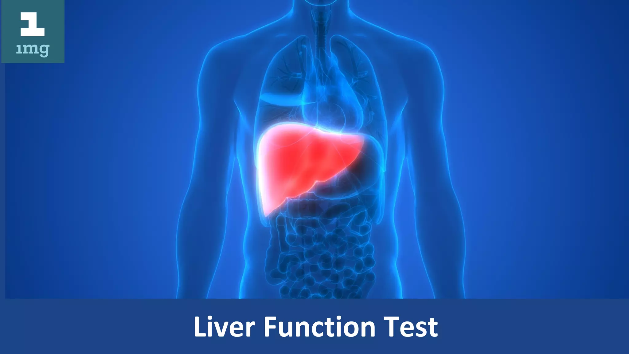 Liver function test | ODP | Digestive Disorders | Diseases and Conditions