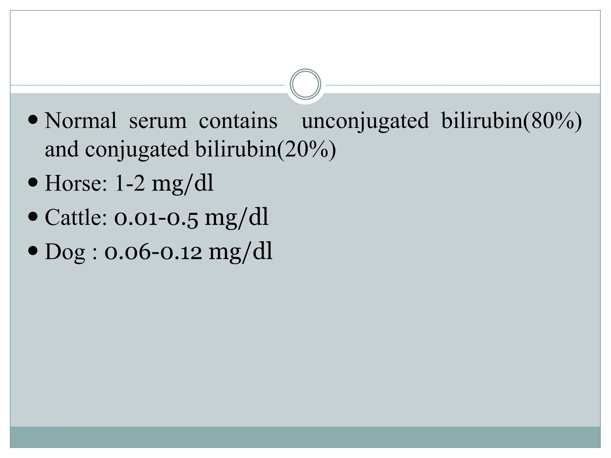 Liver Function Test.pdf