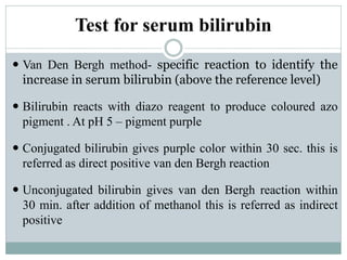 Liver Function Test.pdf