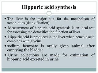 Liver Function Test.pdf