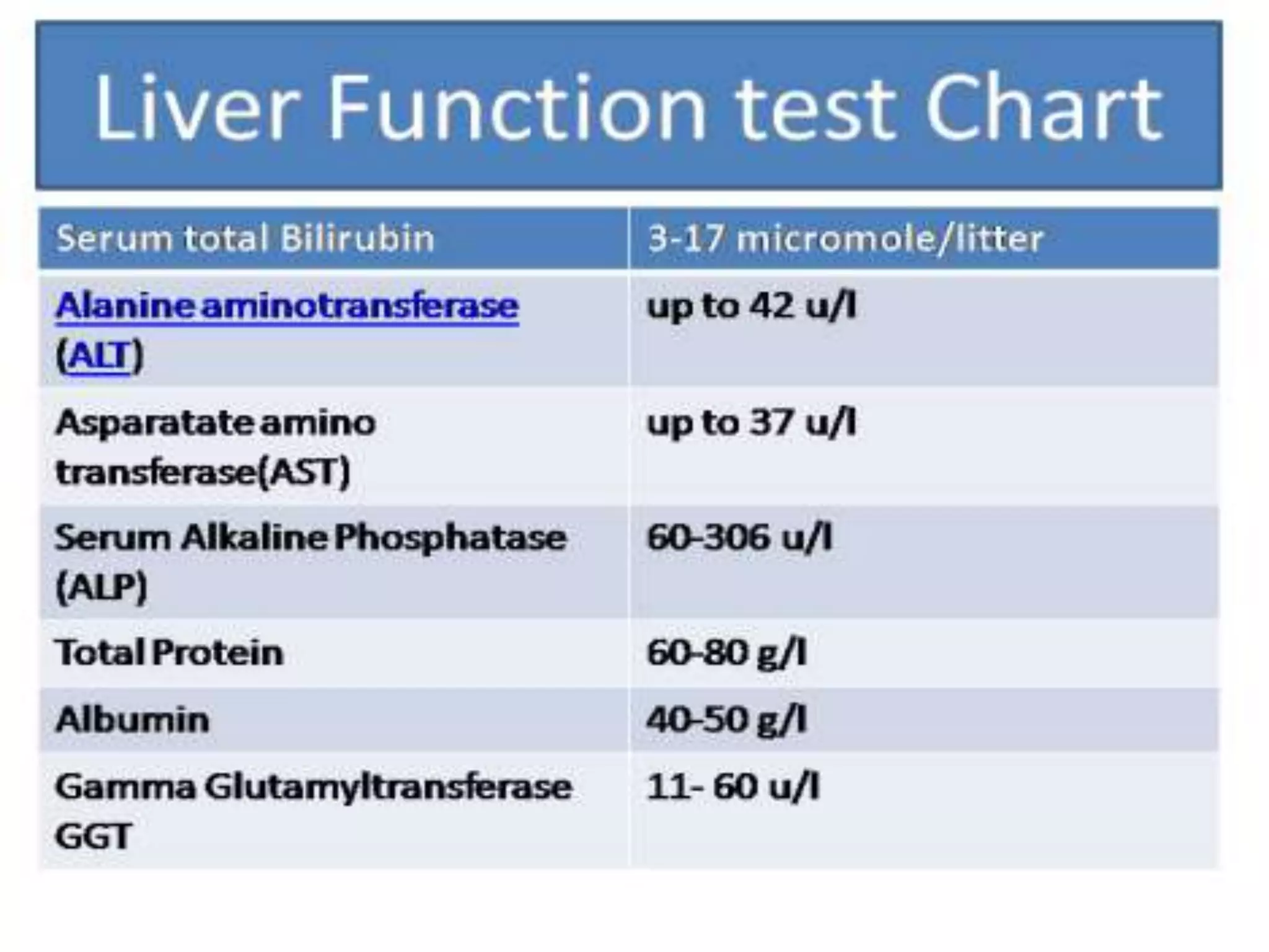 Liver function test.pptx | Blood Disorders | Diseases and Conditions