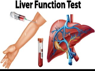 Liver function test.pptx