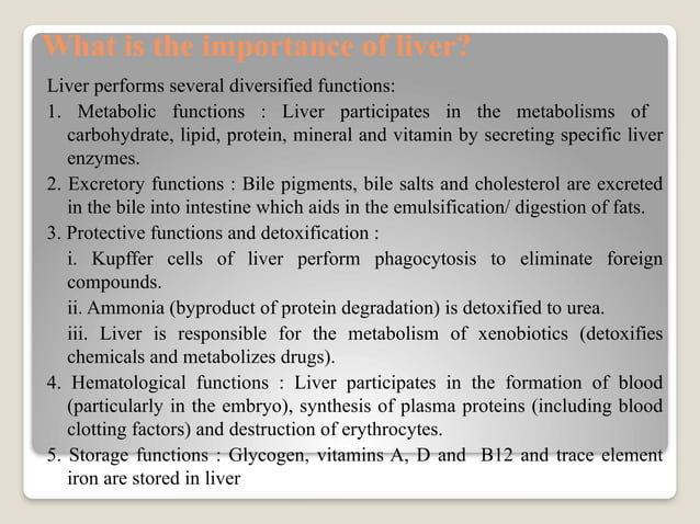 Liver Function Test.pptxxxxxxxxxxxxxxxxxxx | PPT