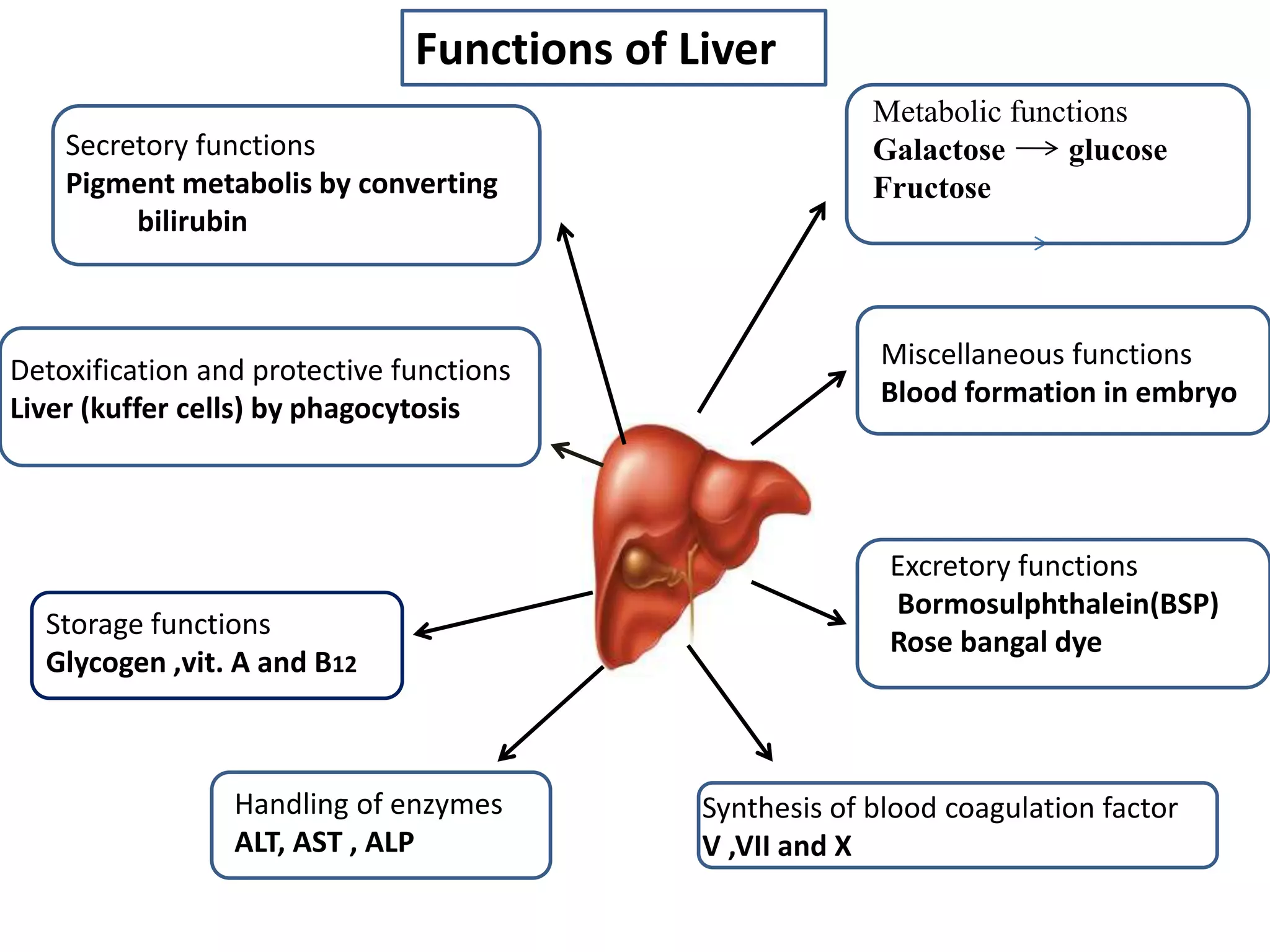 Liver function test | PPTX