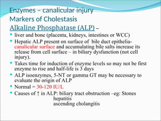 LIVER FUNCTION TEST AKRITI.ppt all the liver test | PPT