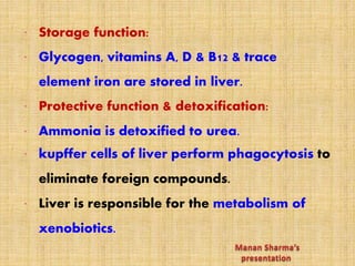Liver function test by manan sharma | PPTX | Endocrine and Metabolic ...