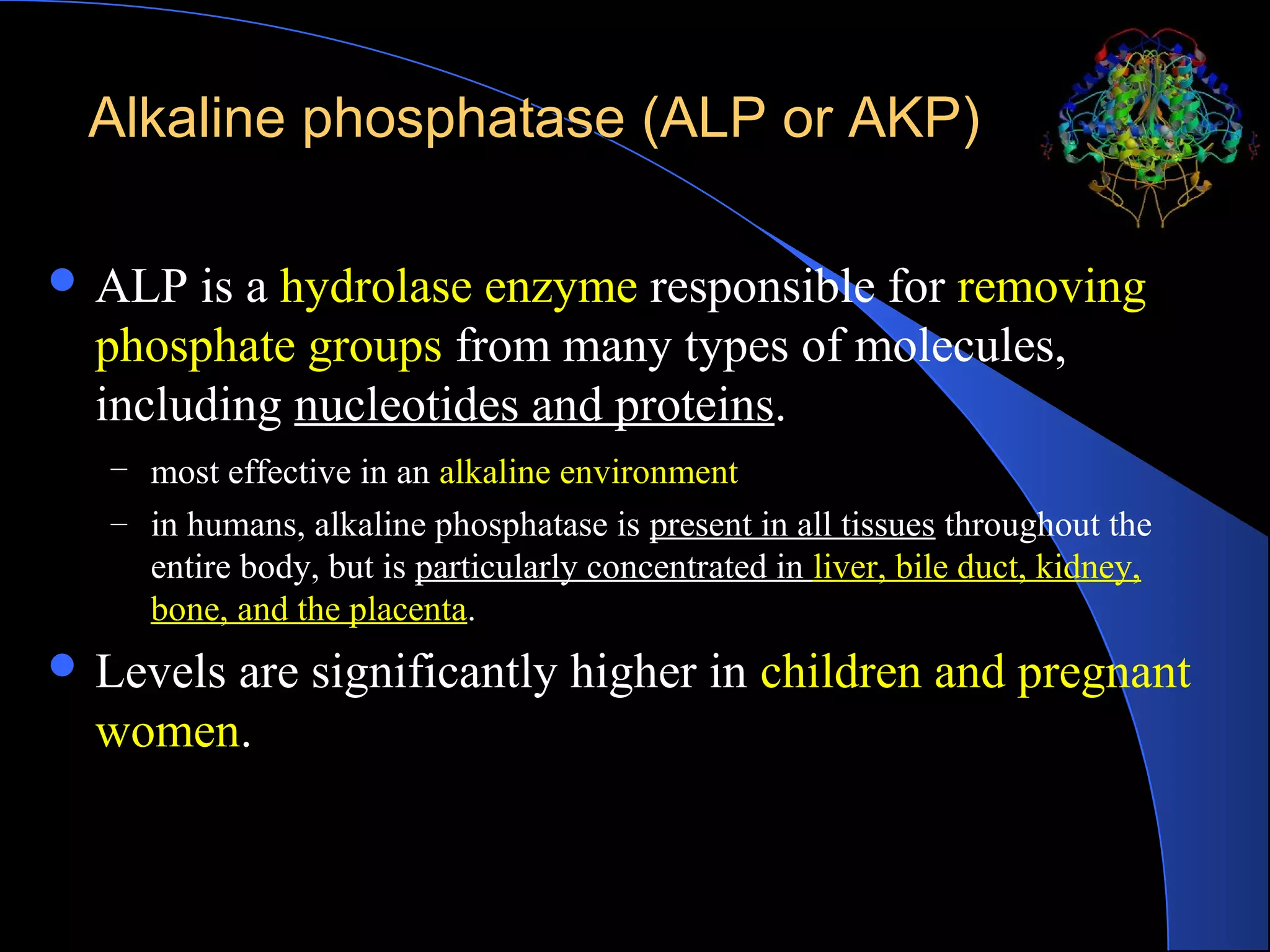 Liver function tests | PPT