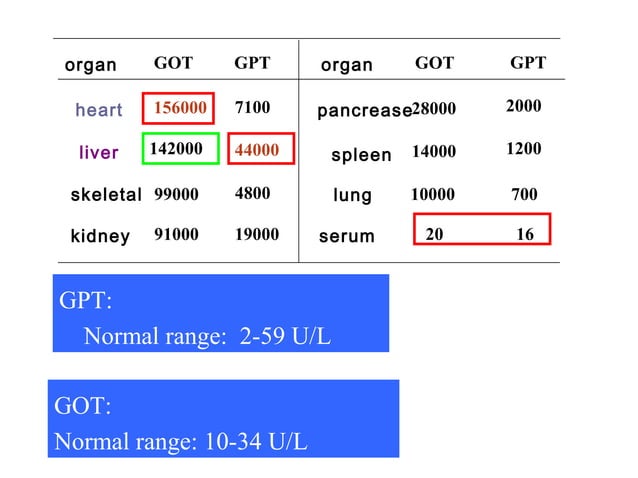 Liver function tests | PPT
