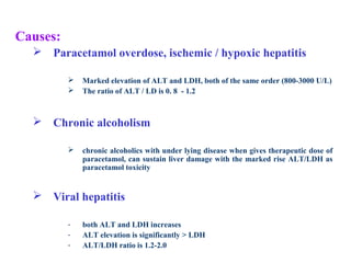 Liver function tests | PPT