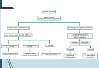 Liver function tests | PPTX