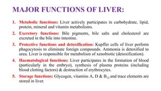 Liver function tests for Pharm.D (Medicinal biochemistry & Clinical ...