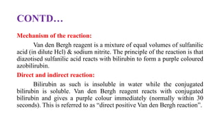 Liver function tests for Pharm.D (Medicinal biochemistry & Clinical ...