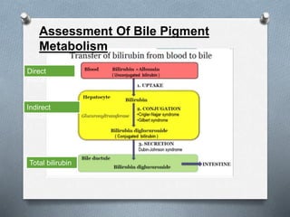 Liver function tests | PPTX