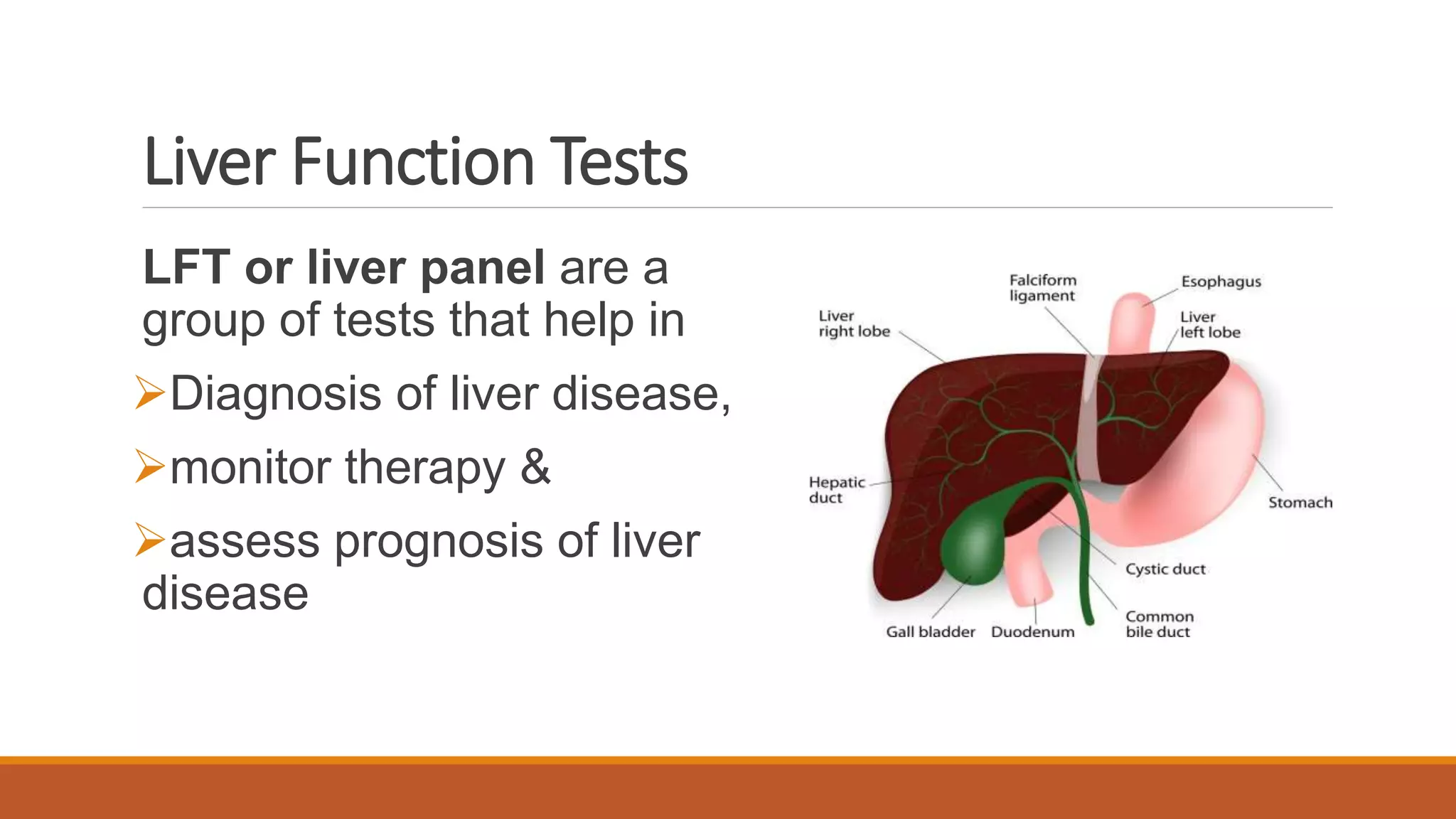 Liver Function Tests | PPTX