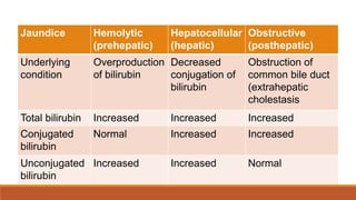 Liver Function Tests | PPTX