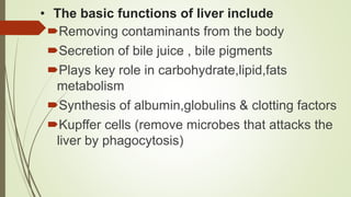 Liver function tests | PPTX | Blood Disorders | Diseases and Conditions