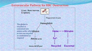 Liver function tests | PPTX