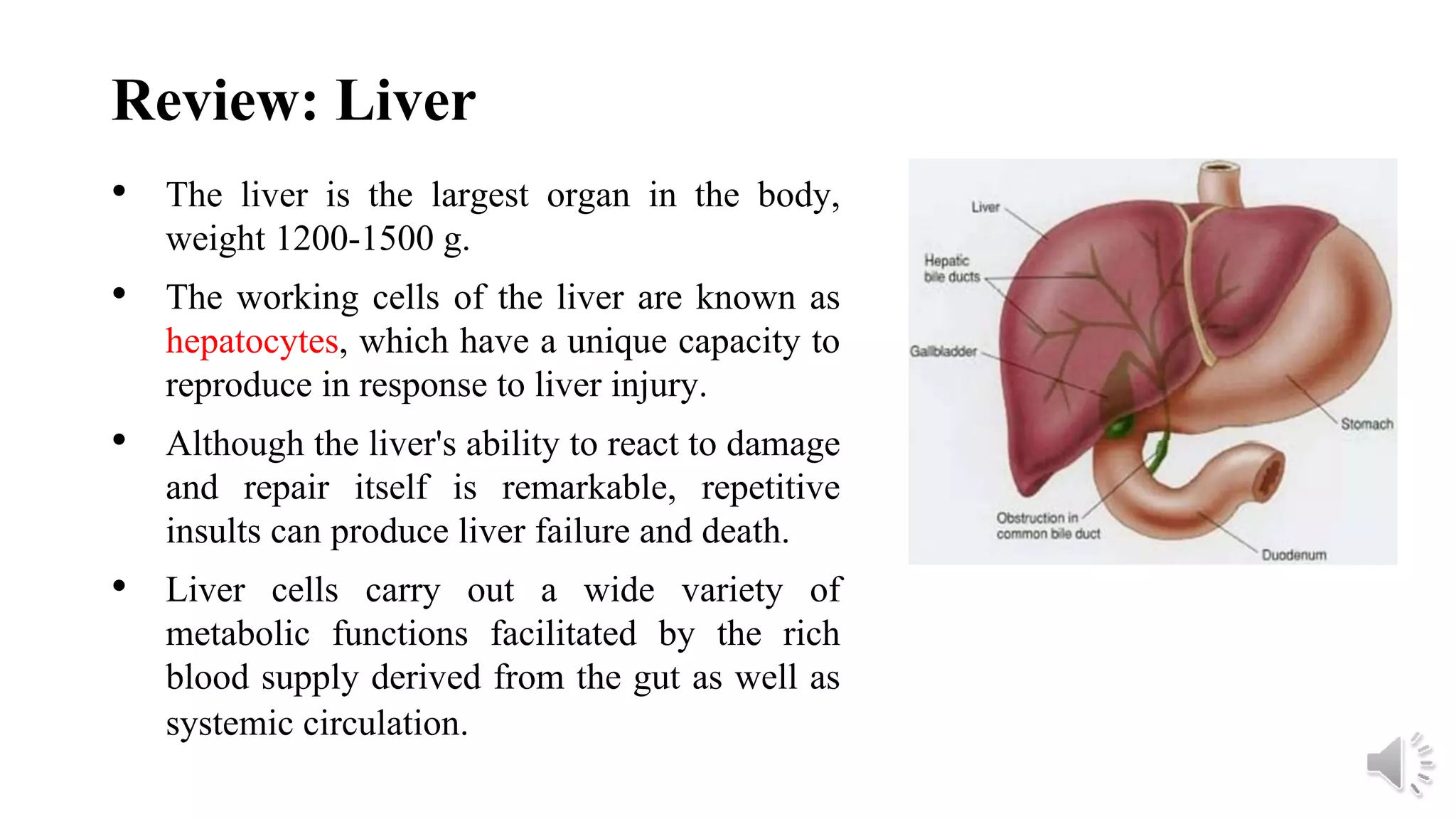 Liver function tests 2021 | PPT