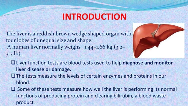 LIVER FUNCTIONS TESTS -1- | PPTX | Blood Disorders | Diseases and ...