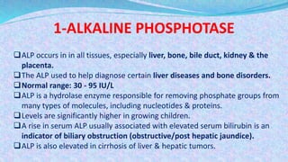 LIVER FUNCTIONS TESTS -2- | PPTX