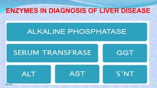 LIVER FUNCTIONS TESTS -2- | PPTX