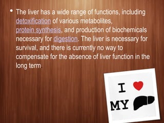 Liver Function Tests and Jaundice with types.ppt