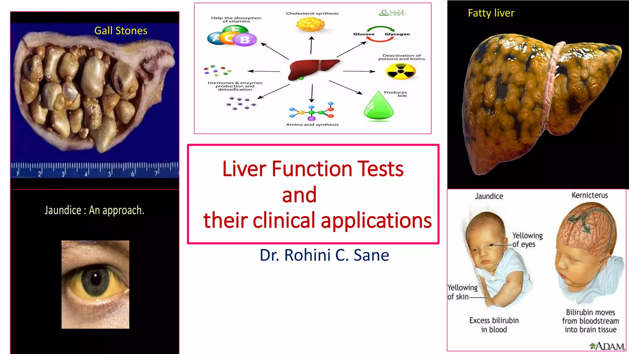 Liver function tests and their clinical applications | PDF | Endocrine ...