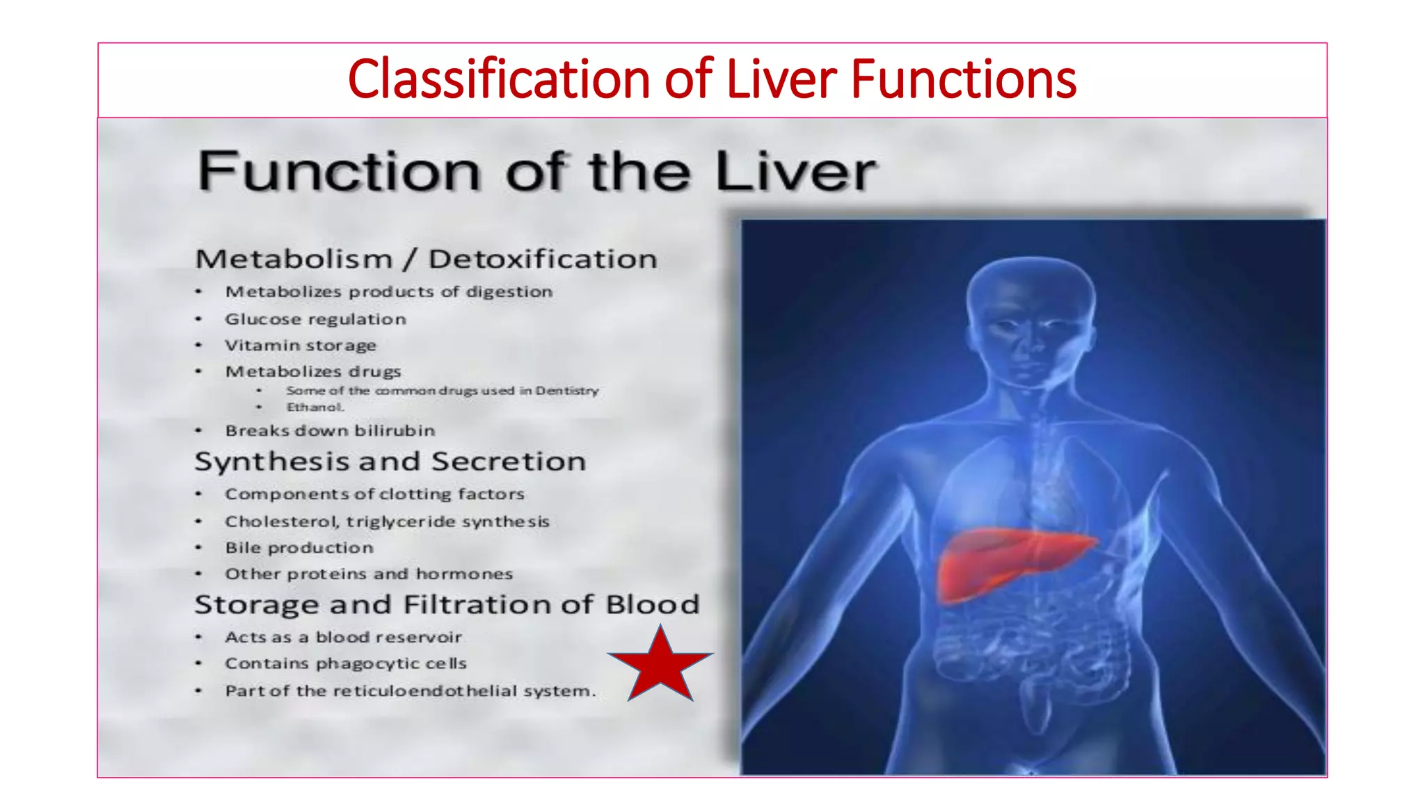 Liver function tests and their clinical applications | PDF | Endocrine ...