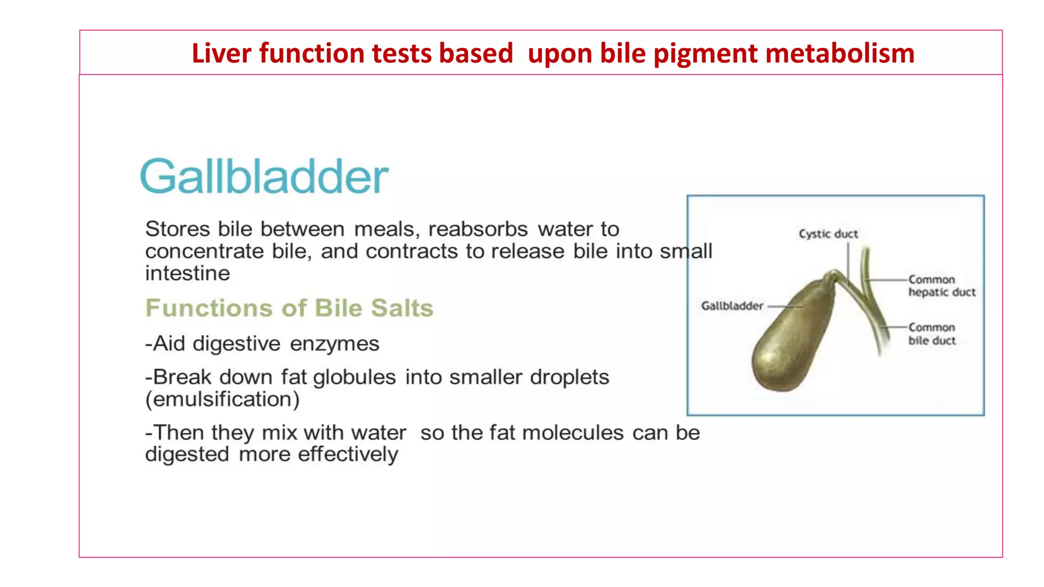 Liver function tests and their clinical applications | PDF | Endocrine ...