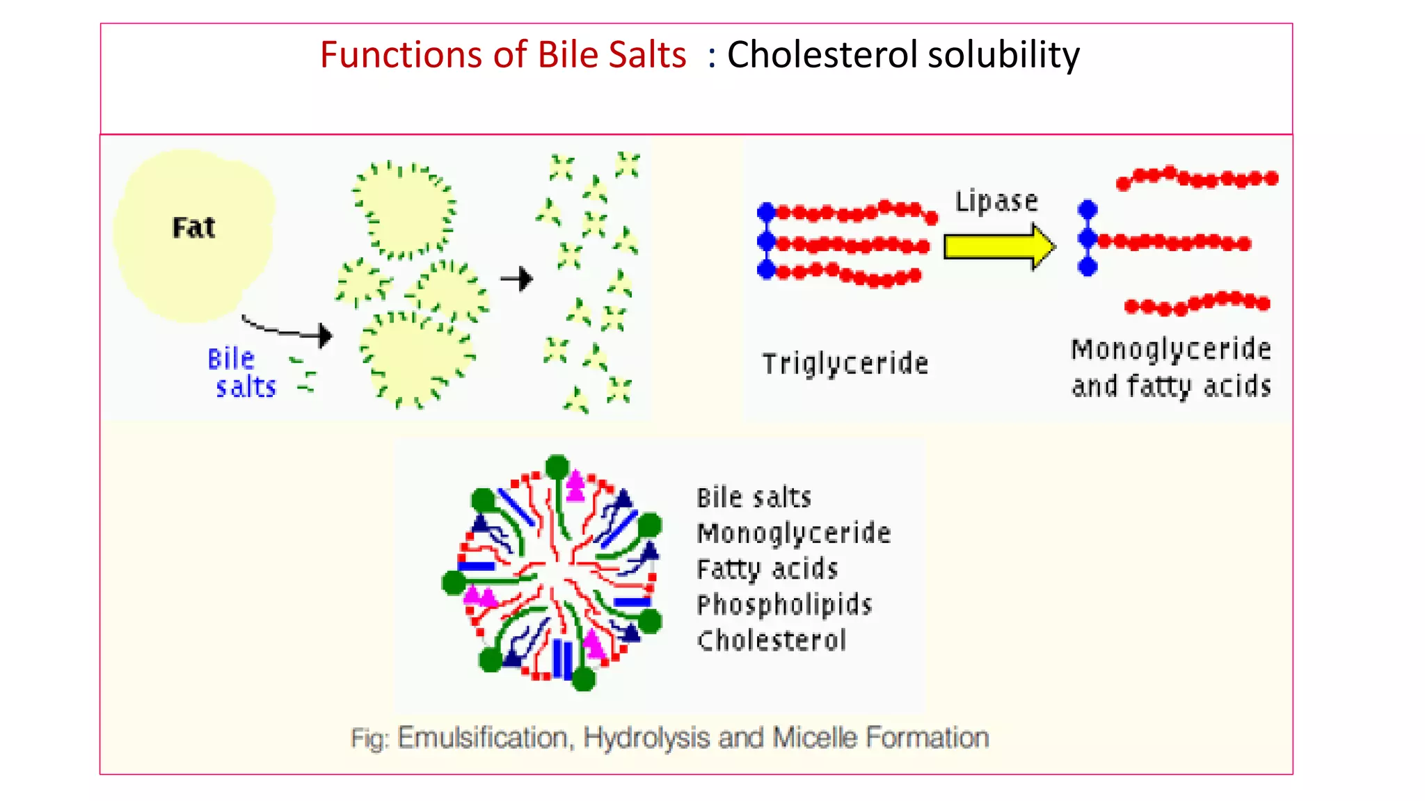Liver function tests and their clinical applications | PDF | Endocrine ...