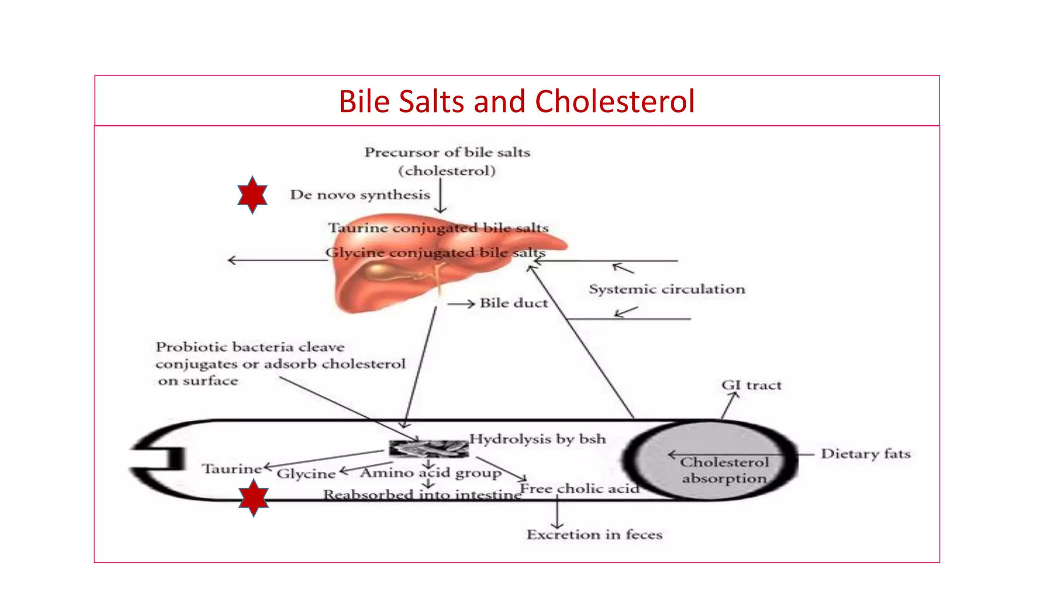 Liver function tests and their clinical applications | PDF | Endocrine ...